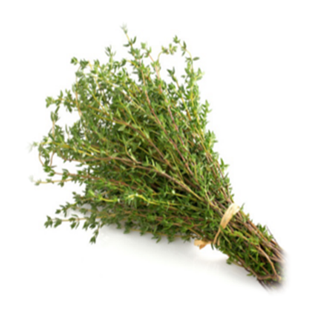 Thym frais botte